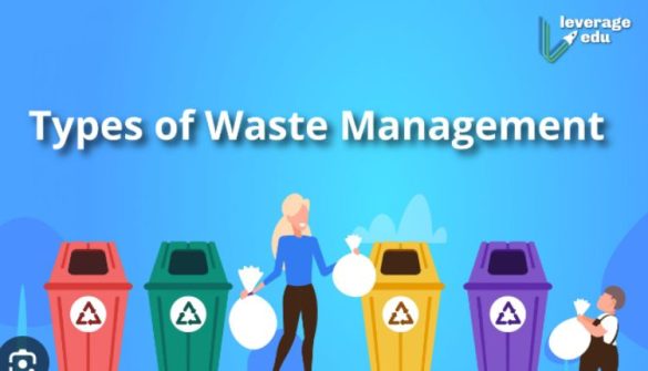 What are 5 Waste Management Strategies? - Realitys Paper